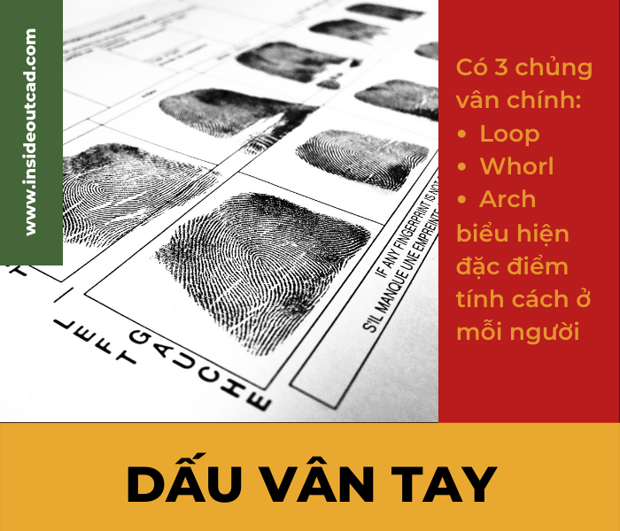 Cách lấy dấu vân tay và những điều bạn cần biết!