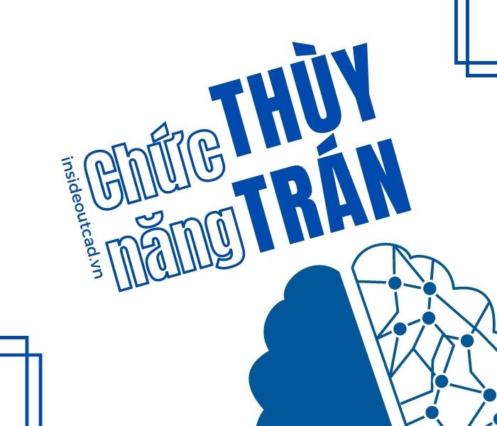 Khám phá Thùy Trán và ý nghĩa trong dịch vụ điều hướng sự nghiệp