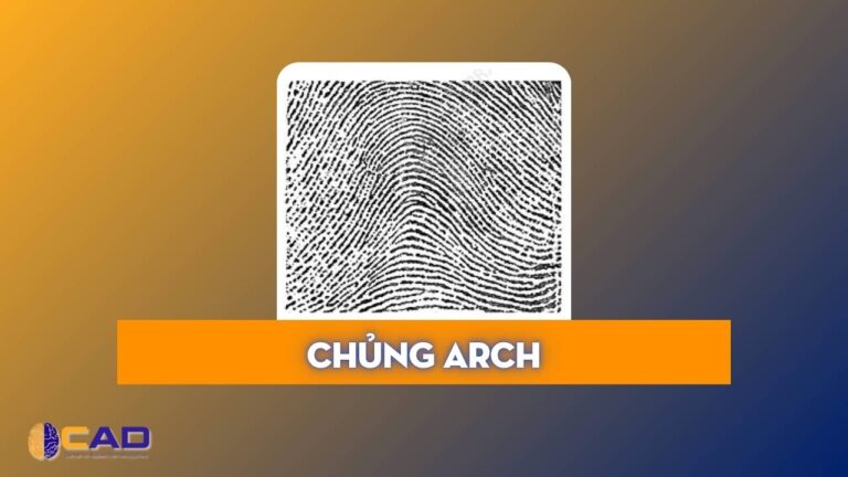[Full] Cẩm nang chi tiết các chủng vân tay đầy đủ #1 - CAD