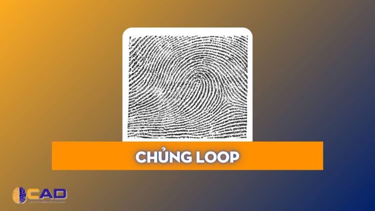 [Full] Cẩm nang chi tiết các chủng vân tay đầy đủ #1 - CAD